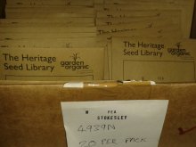Why is Scotland so shy about growing her own seeds? | Common Good Food